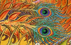 Peacock Amphithere | Dragonology Wiki | Fandom