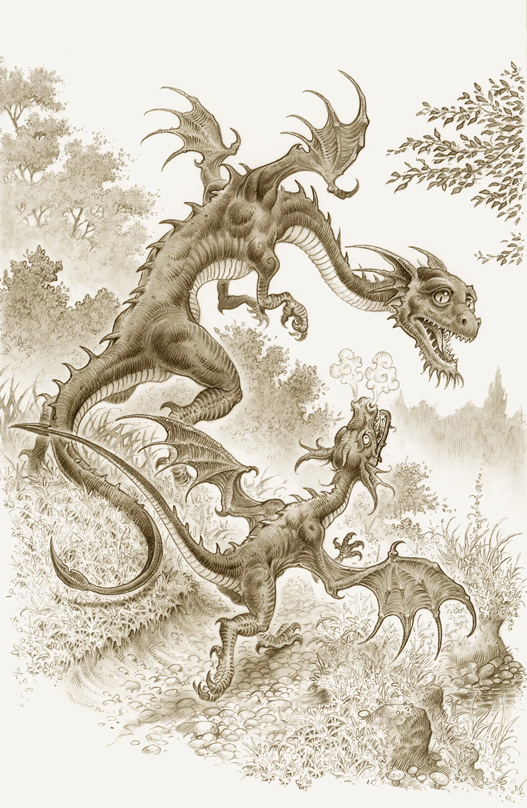 Bucca | Dragonology Wiki | Fandom