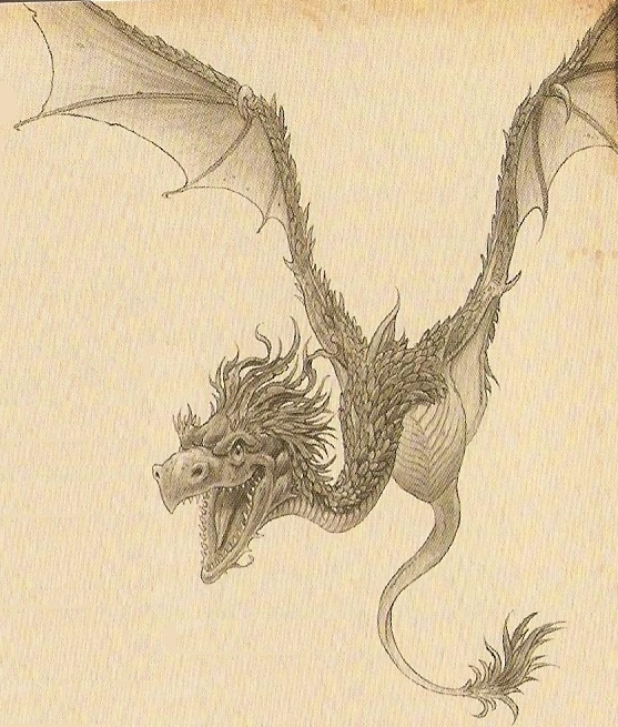 American Amphithere | Dragonology Wiki | Fandom