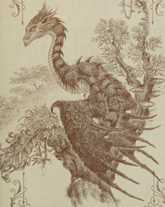 American Amphithere | Dragonology Wiki | Fandom