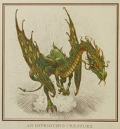 European Dragon | Dragonology Wiki | Fandom
