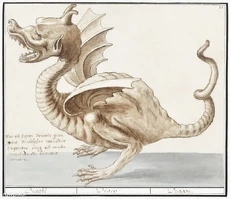Dodo Dragon | Dragonology Wiki | Fandom