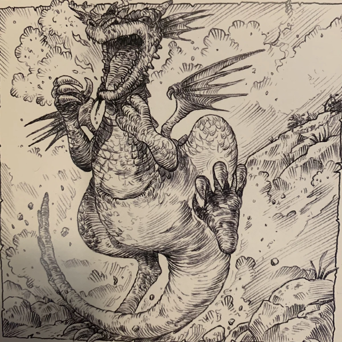 Patagonian Dragon | Dragonology Wiki | Fandom