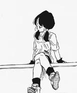 Videl | Dragonpedia Wiki | Fandom