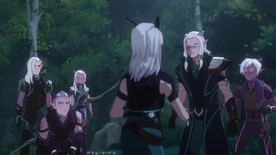 Moonshadow Elf Assassins/Gallery | The Dragon Prince Wiki | Fandom