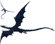 Dragons | The Dragon Prince Wiki | Fandom