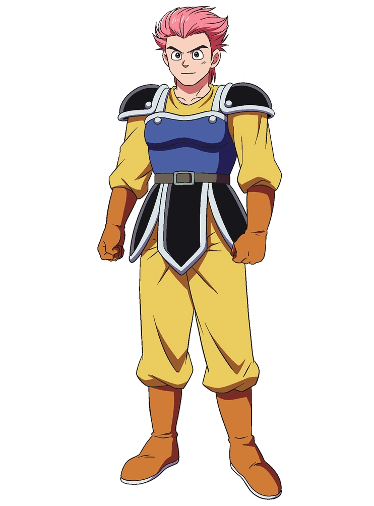 Roka | Dragon Quest Wiki | Fandom