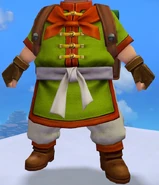 Training togs | Dragon Quest Wiki | Fandom