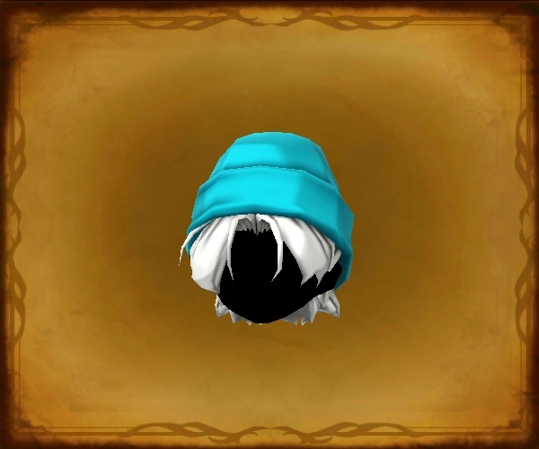 Terry's cap | Dragon Quest Wiki | Fandom