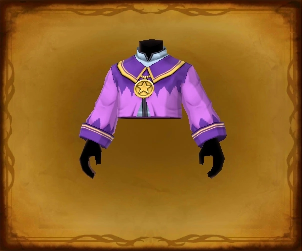 Wizard's garb top | Dragon Quest Wiki | Fandom