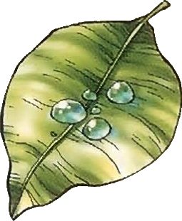 Dew of Life | Dragon Quest Wiki | Fandom