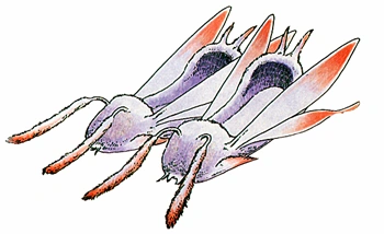 Talaria | Dragon Quest Wiki | Fandom