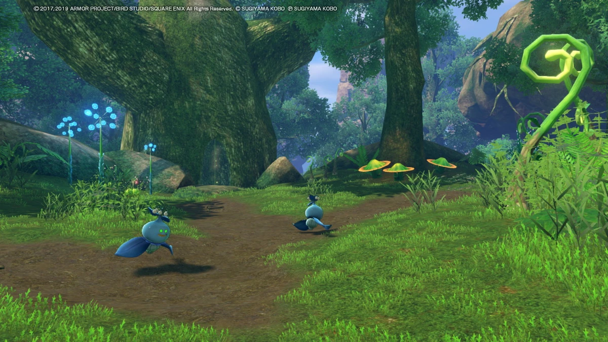 The First Forest | Dragon Quest Wiki | Fandom