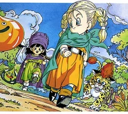 Bianca | Dragon Quest Wiki | Fandom