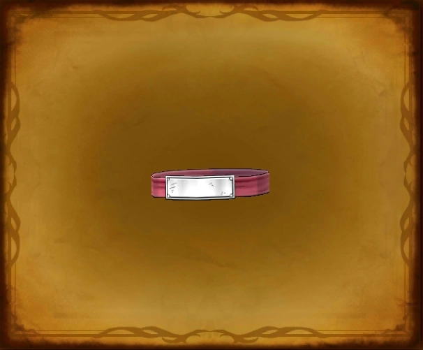 Chaser band | Dragon Quest Wiki | Fandom