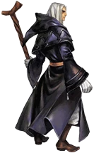 Wizard | Wiki Dragon's Crown | Fandom