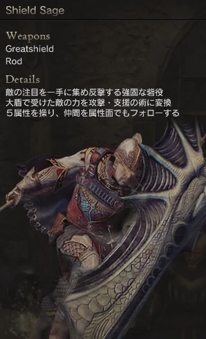 Shield Sage | Dragon's Dogma Online Guide Wikia | Fandom
