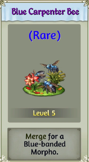 Blue Carpenter Bee | Dragons & Elfs Wiki | Fandom