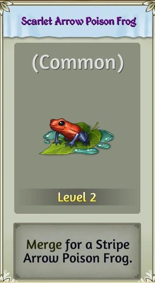 Scarlet Arrow Poison Frog | Dragons & Elfs Wiki | Fandom