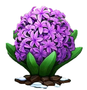 Hyacinth | Dragons & Elfs Wiki | Fandom