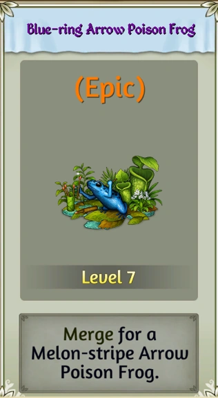 Blue-ring Arrow Poison Frog | Dragons & Elfs Wiki | Fandom