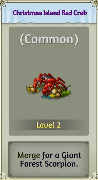 Christmas Island Red Crab | Dragons & Elfs Wiki | Fandom