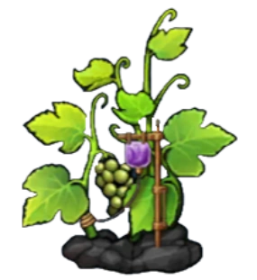 Steam-infused Grape Vine | Dragons & Elfs Wiki | Fandom