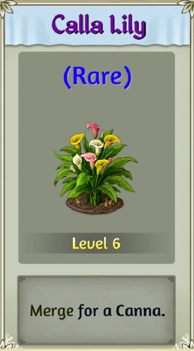 Calla Lily | Dragons & Elfs Wiki | Fandom
