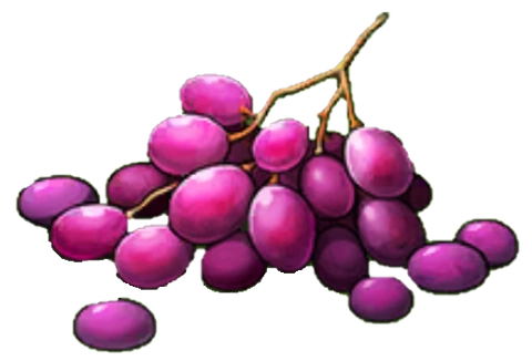 Ripe Grapes | Dragons & Elfs Wiki | Fandom