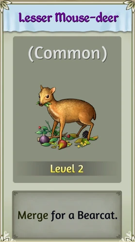 Lesser Mouse-deer | Dragons & Elfs Wiki | Fandom