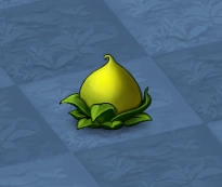 Elf Fruit | Dragons & Elfs Wiki | Fandom