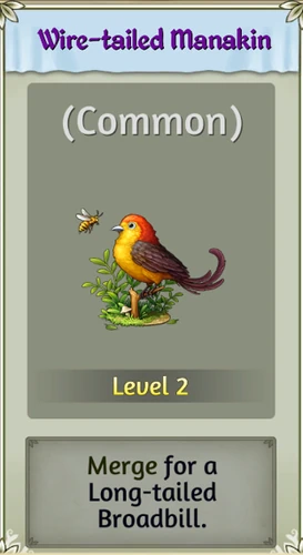 Wire-tailed Manakin | Dragons & Elfs Wiki | Fandom