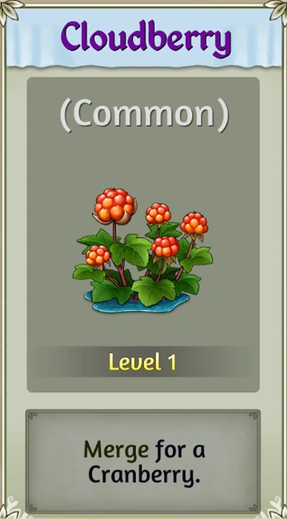 Cloudberry | Dragons & Elfs Wiki | Fandom