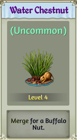 Water Chestnut | Dragons & Elfs Wiki | Fandom