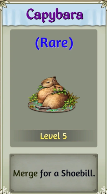 Capybara | Dragons & Elfs Wiki | Fandom