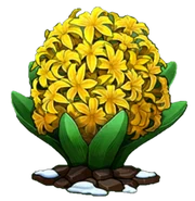 Hyacinth | Dragons & Elfs Wiki | Fandom