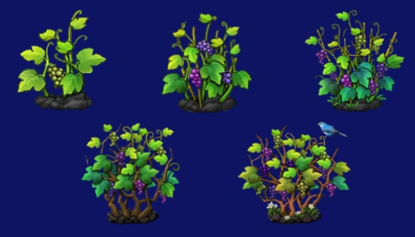 Mystery Grape Vine | Dragons & Elfs Wiki | Fandom