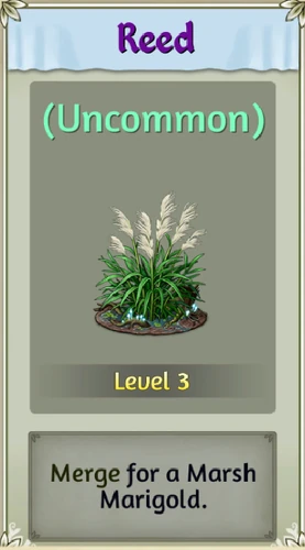 Reed | Dragons & Elfs Wiki | Fandom