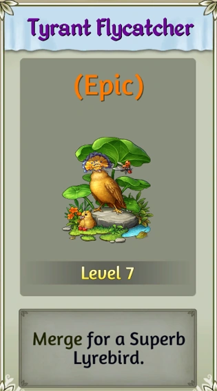 Tyrant Flycatcher | Dragons & Elfs Wiki | Fandom