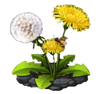 Dandelion | Dragons & Elfs Wiki | Fandom