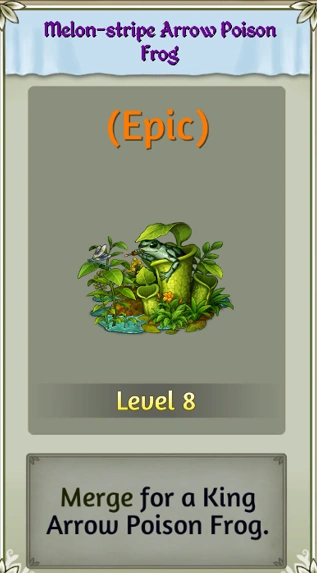Melon-stripe Arrow Poison Frog | Dragons & Elfs Wiki | Fandom