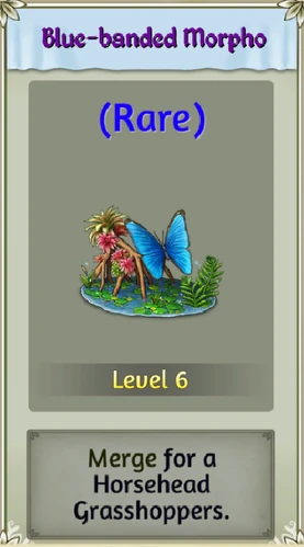 Blue-banded Morpho | Dragons & Elfs Wiki | Fandom
