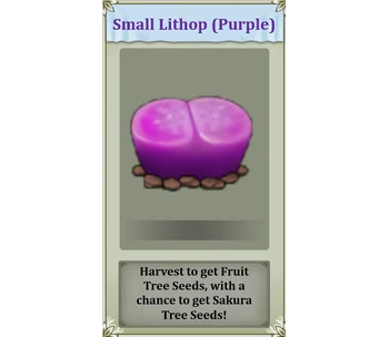 Small Lithop (Purple) | Dragons & Elfs Wiki | Fandom