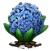 Hyacinth | Dragons & Elfs Wiki | Fandom