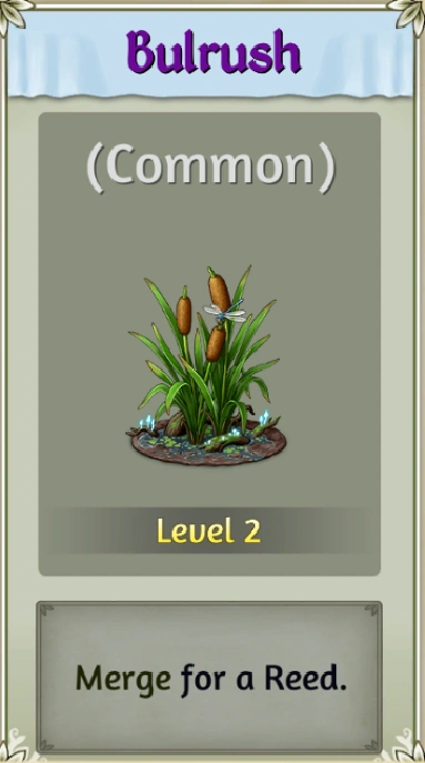 Bulrush | Dragons & Elfs Wiki | Fandom