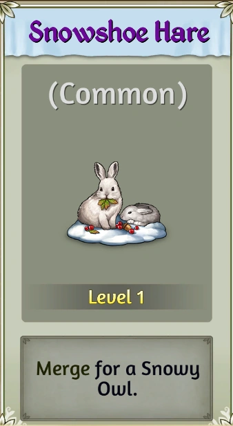 Snowshoe Hare | Dragons & Elfs Wiki | Fandom