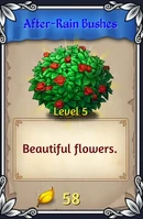 Morning Sanctuary Event Shop | Dragons & Elfs Wiki | Fandom