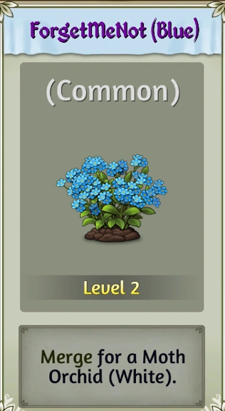 ForgetMeNot (Blue) - Level 2 | Dragons & Elfs Wiki | Fandom