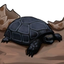 Zaratan Hatchling | Dragons of the Void Wiki | Fandom