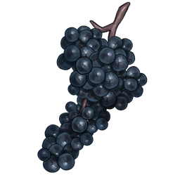 Elderberry Bushel | Dragons of the Void Wiki | Fandom